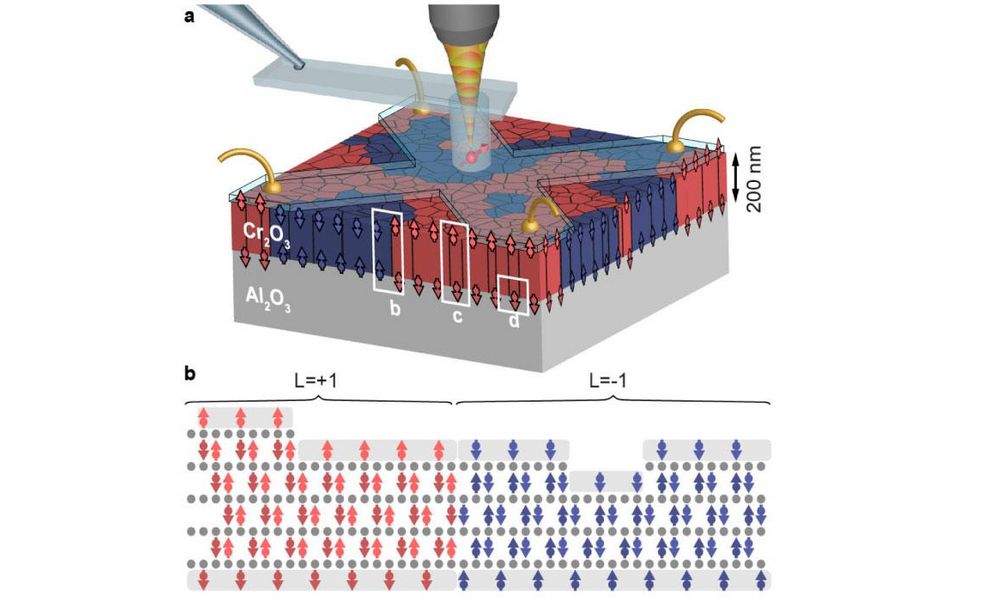 Patrick's and Brendan's paper on antiferromagnets posted on ArXiv ...